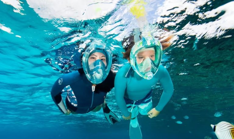 Easybreath, inovația Decathlon care a redefinit snorkelingul: peste 50. ...